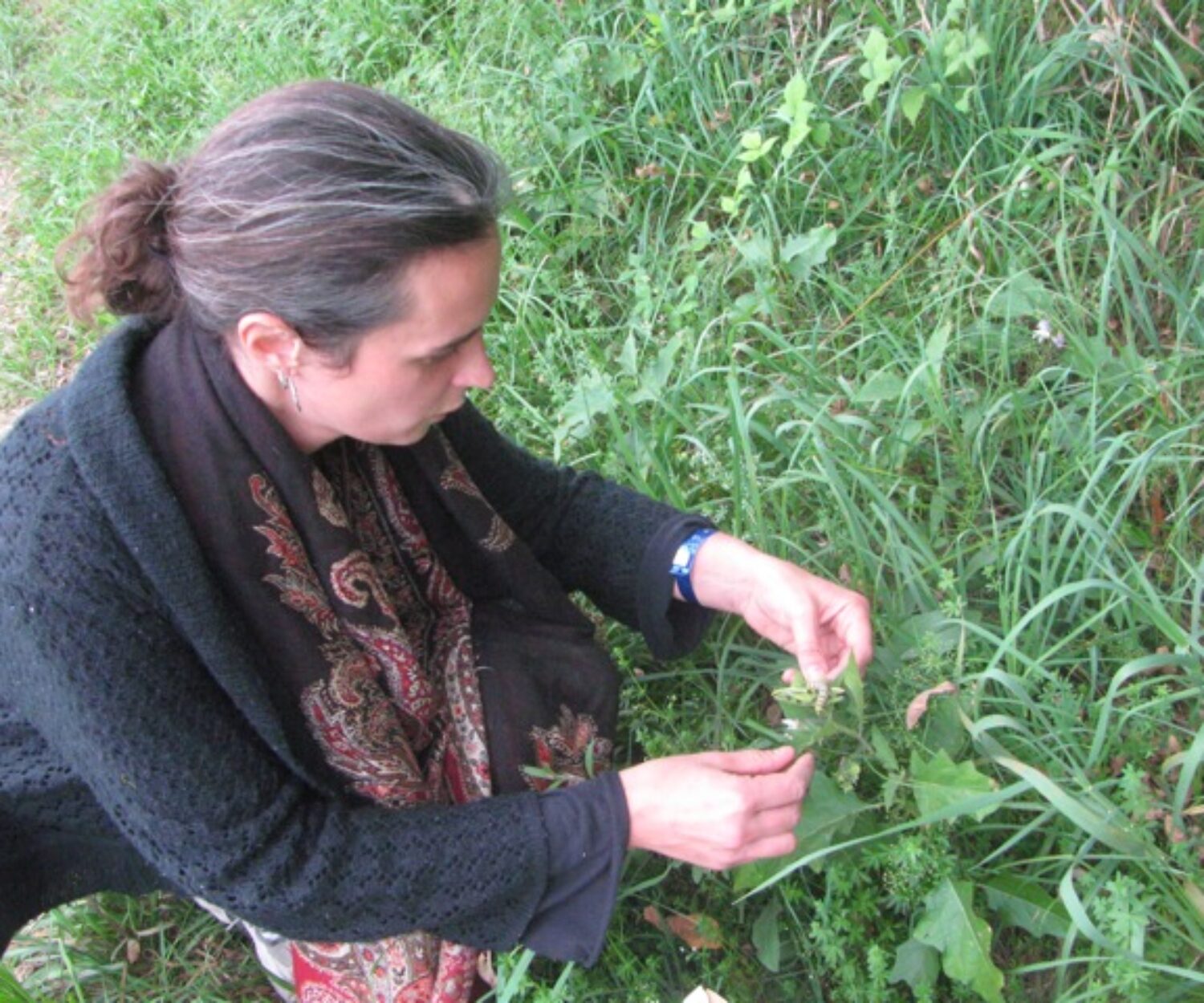 Julia Butterfly Hill